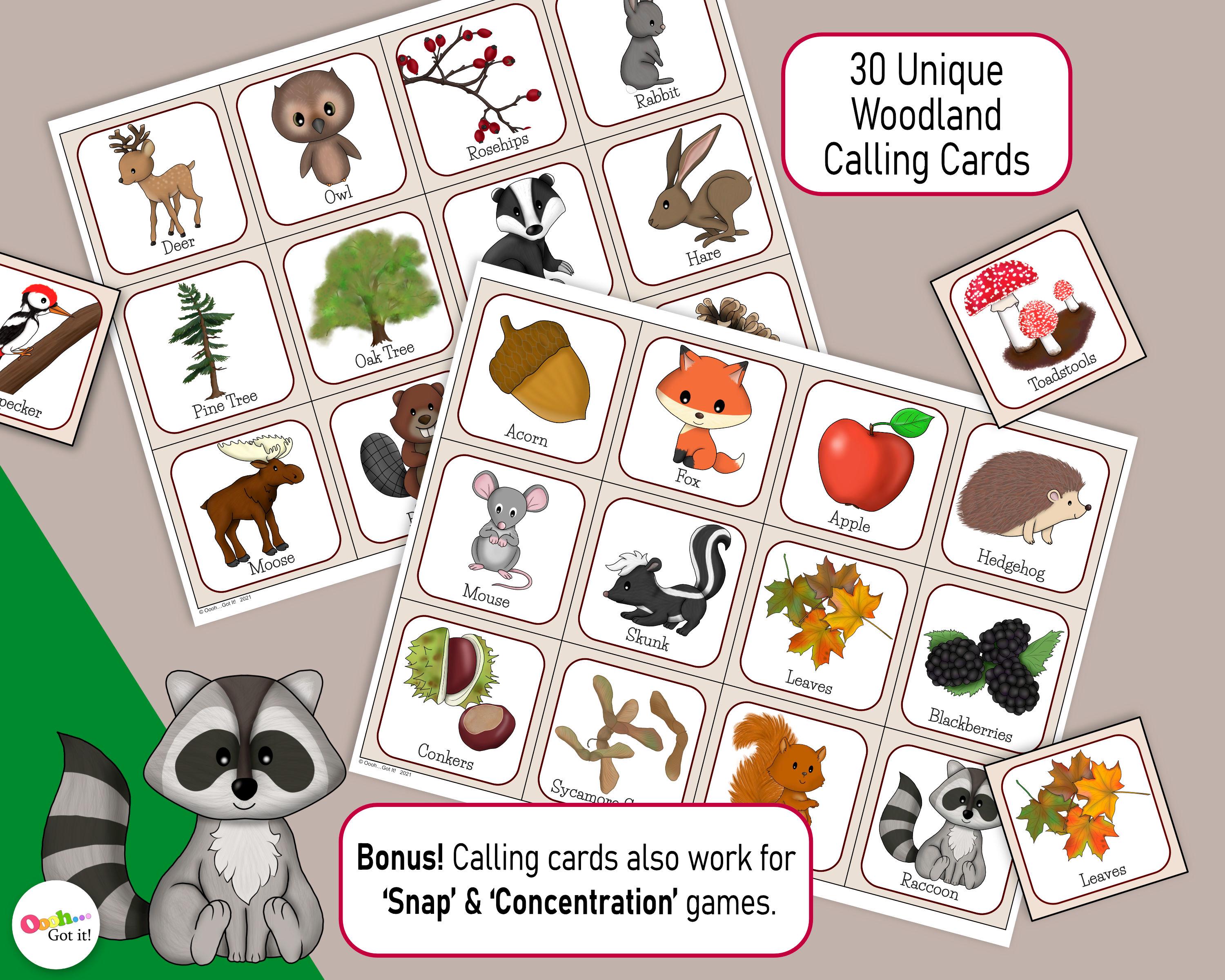 Woodland Animal Bingo Cards, a Printable Autumn Forest Game, for a ...