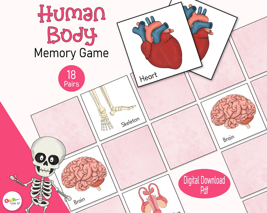 Human Body Memory Cards, a Printable Anatomy Game for Kids, a Preschool ...