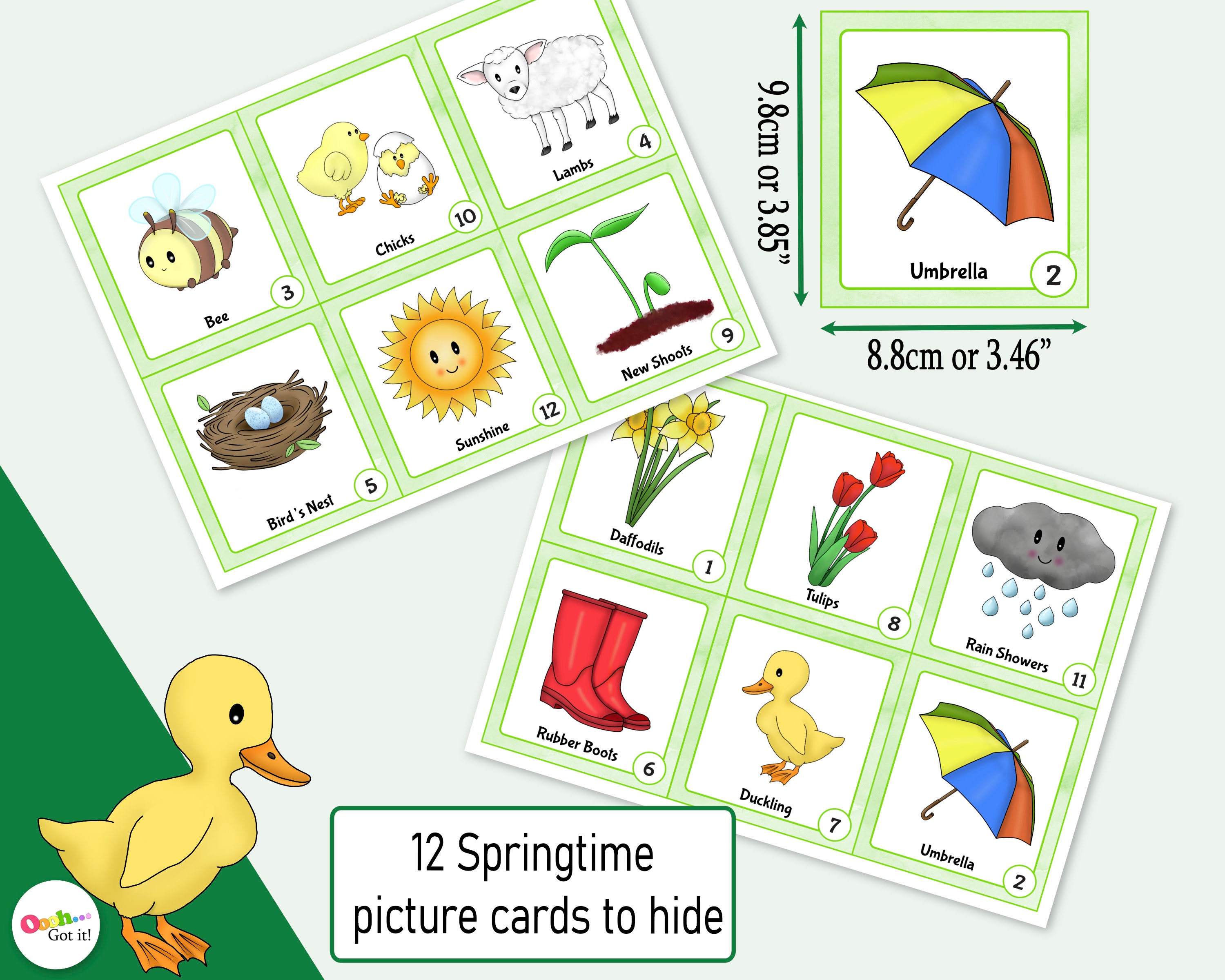 Spring Scavenger Hunt, a Printable Picture Matching Springtime Family ...