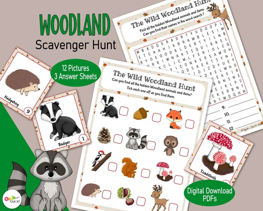 Woodland Animal Scavenger Hunt, a Picture Matching Autumn Forest Family ...