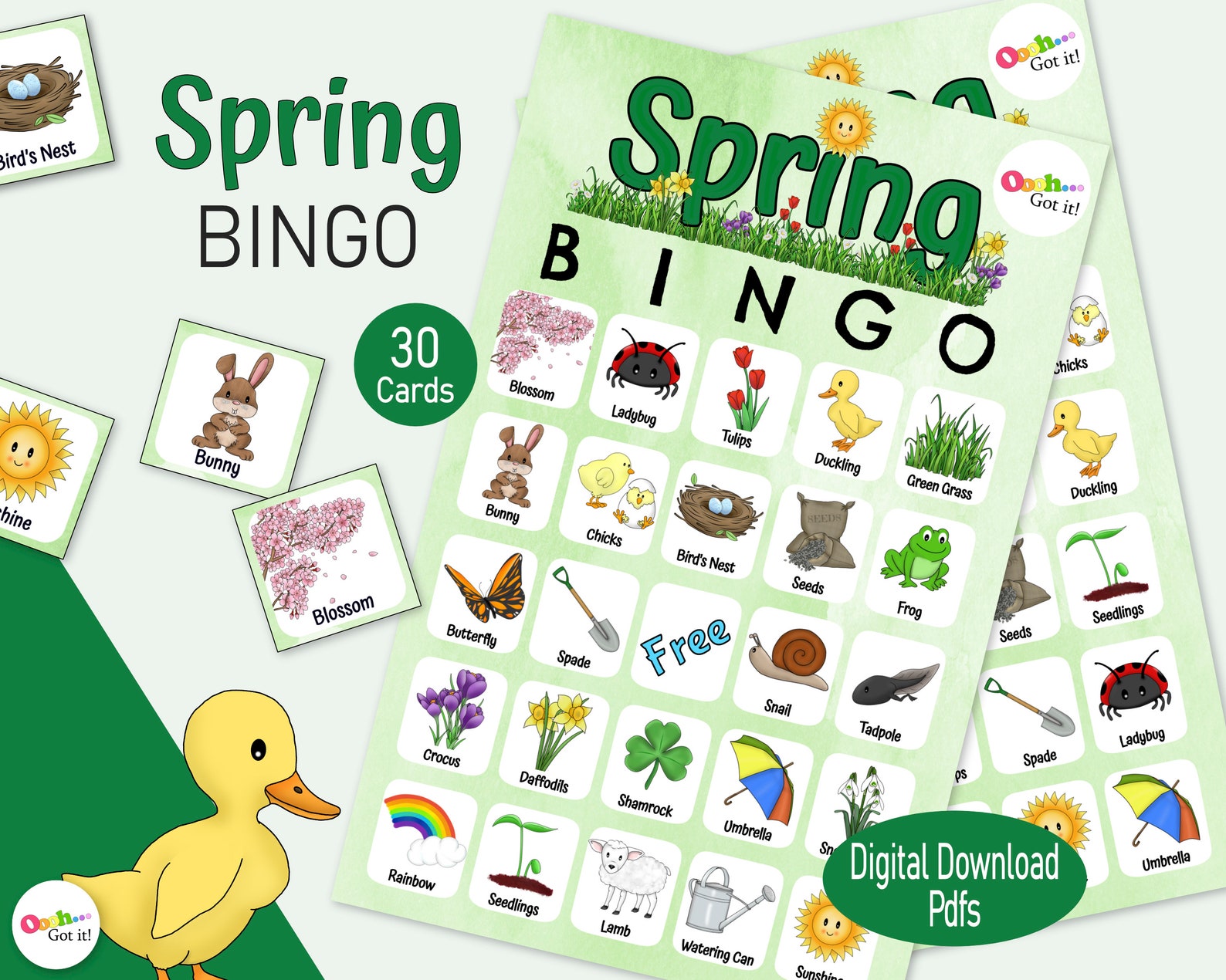 Springtime Bingo, a Printable Spring Game for Kids, Easter Learning ...