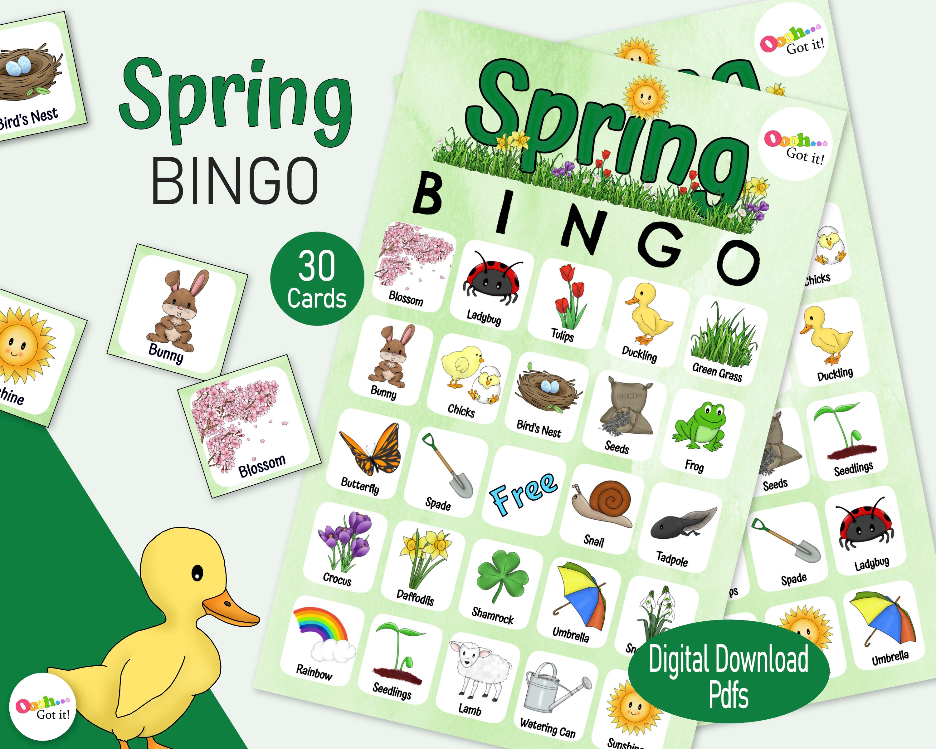 Springtime Bingo, a Printable Spring Game for Kids, Easter Learning ...