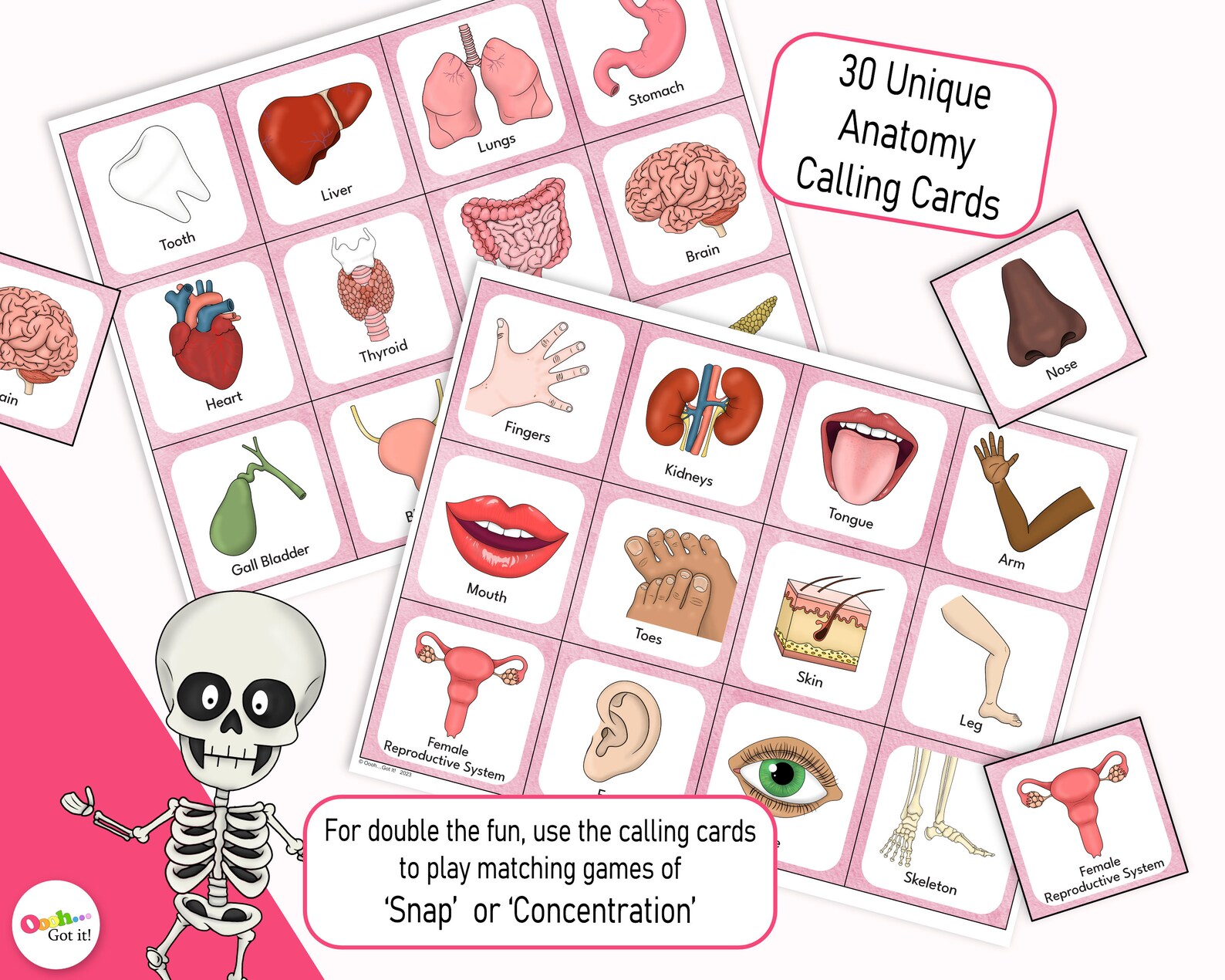 Human Body Parts Bingo, a Printable Anatomy Game for a Fun Biology ...