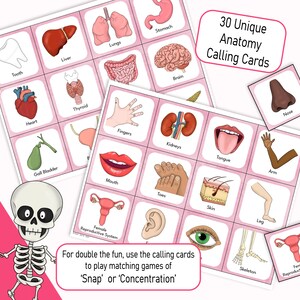 Human Body Parts Bingo, a Printable Anatomy Game for a Fun Biology ...
