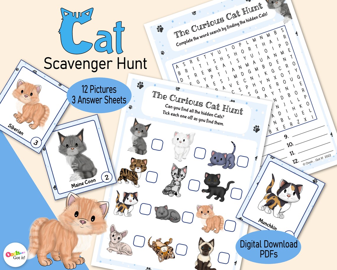 Kitty Cat Picture Scavenger Hunt, a Printable Hide & Seek Game for Kids ...