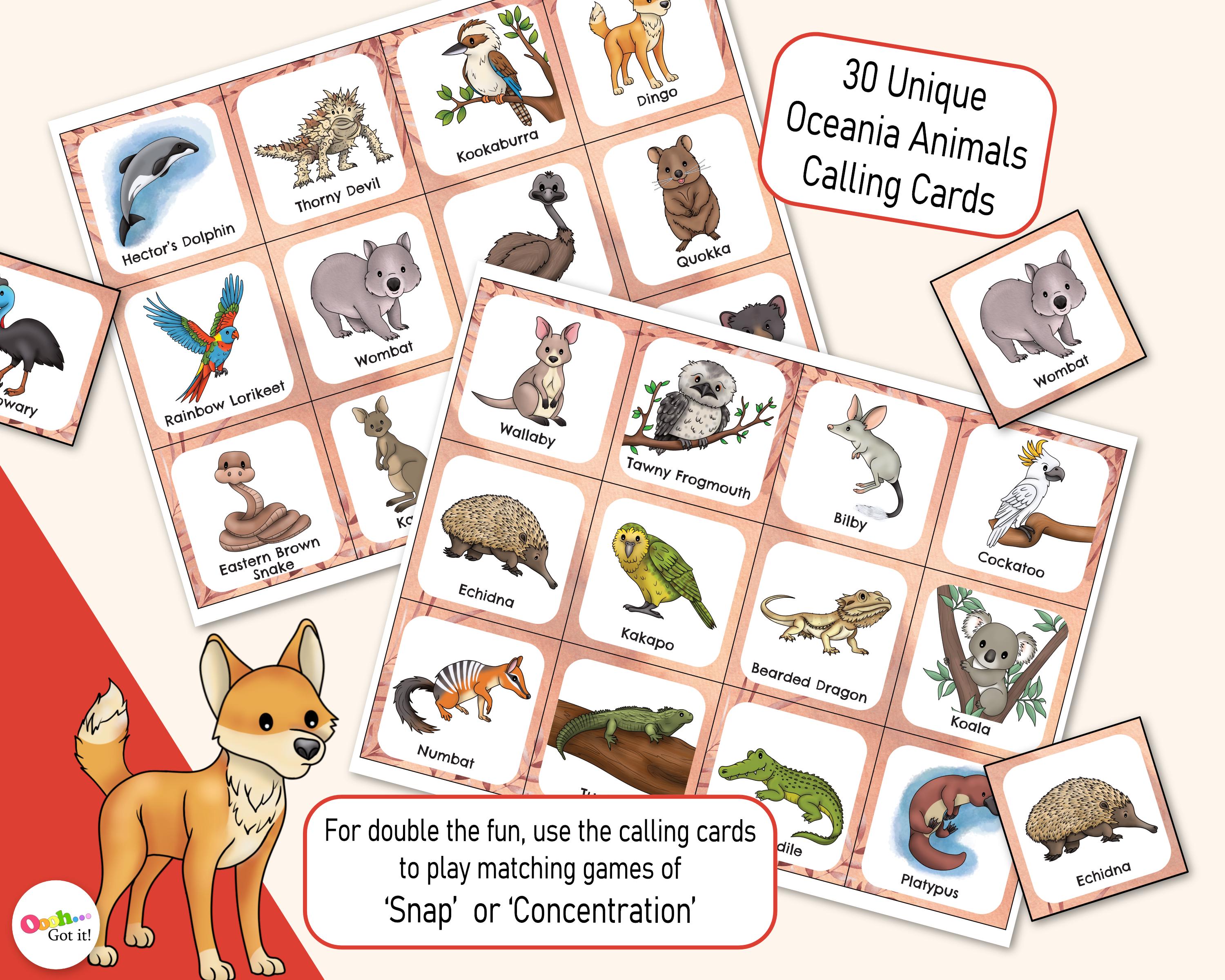 Australian Animals Bingo - a Printable Game With Aussie & New Zealand ...