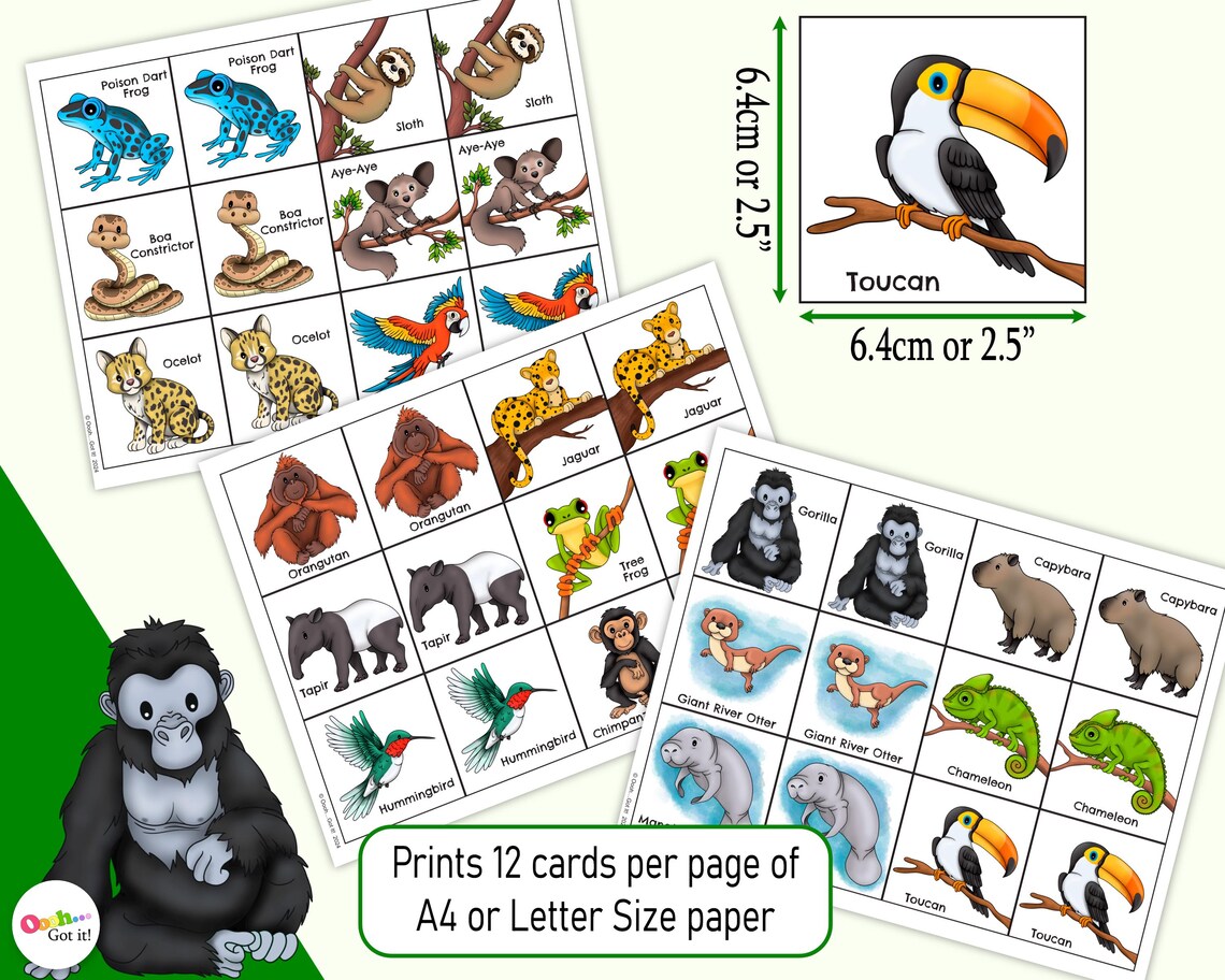 Rainforest Animal Memory Cards – A Fun Printable Jungle Wildlife ...
