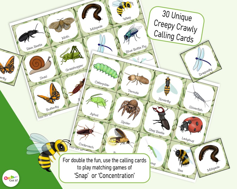 Bug Bingo, a Printable Creepy Crawler Party Game, a Insect Hunter ...