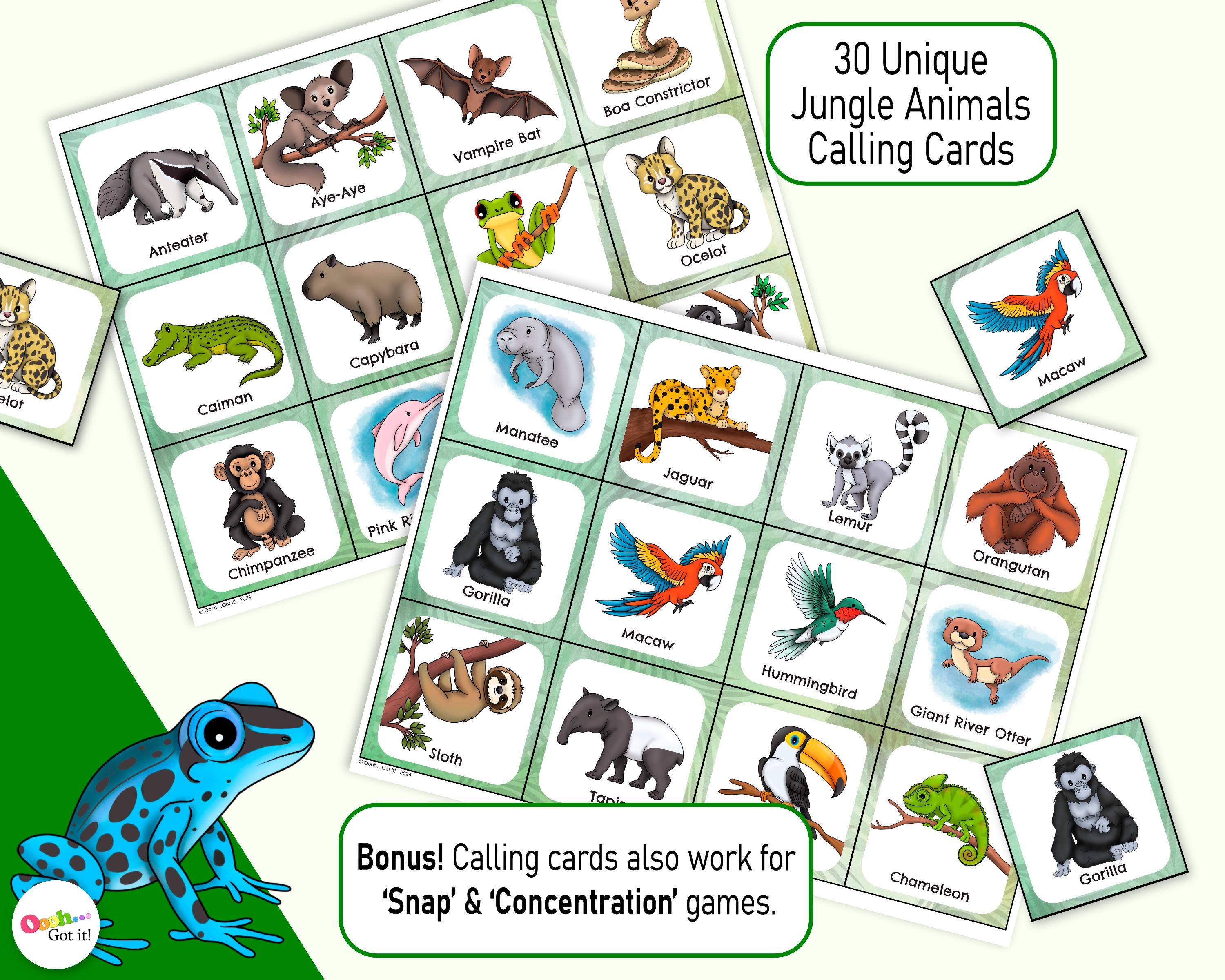 Rainforest Animal Bingo – A Fun Printable Jungle Wildlife Game for Kids ...