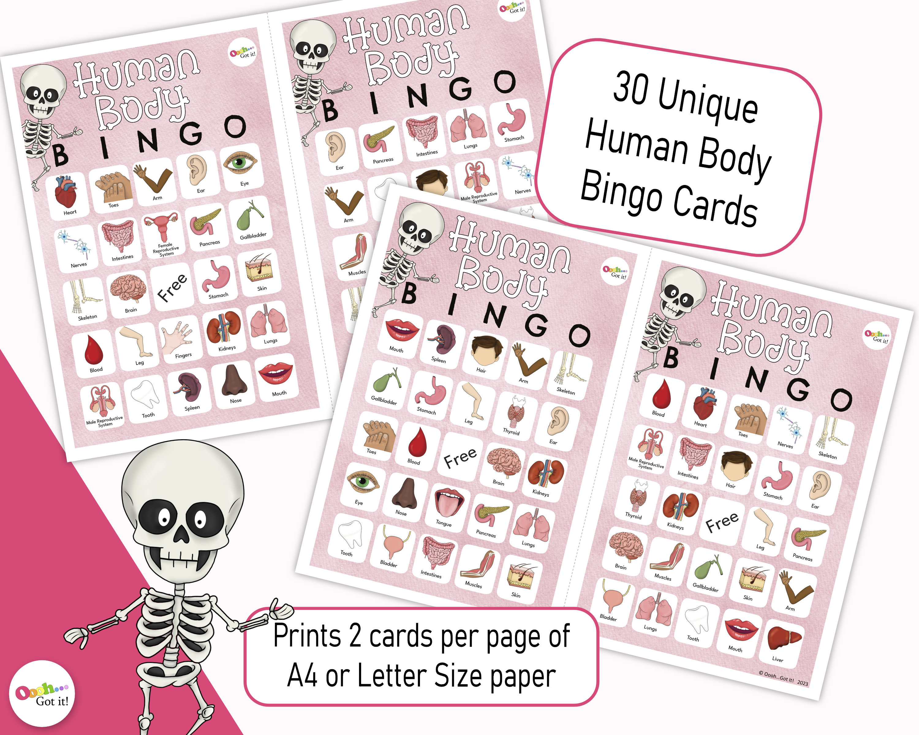 Human Body Parts Bingo, a Printable Anatomy Game for a Fun Biology ...