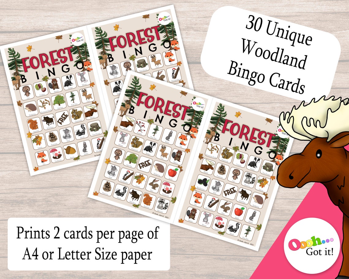 Woodland Animal Bingo Cards a Printable Autumn Forest Game | Etsy UK