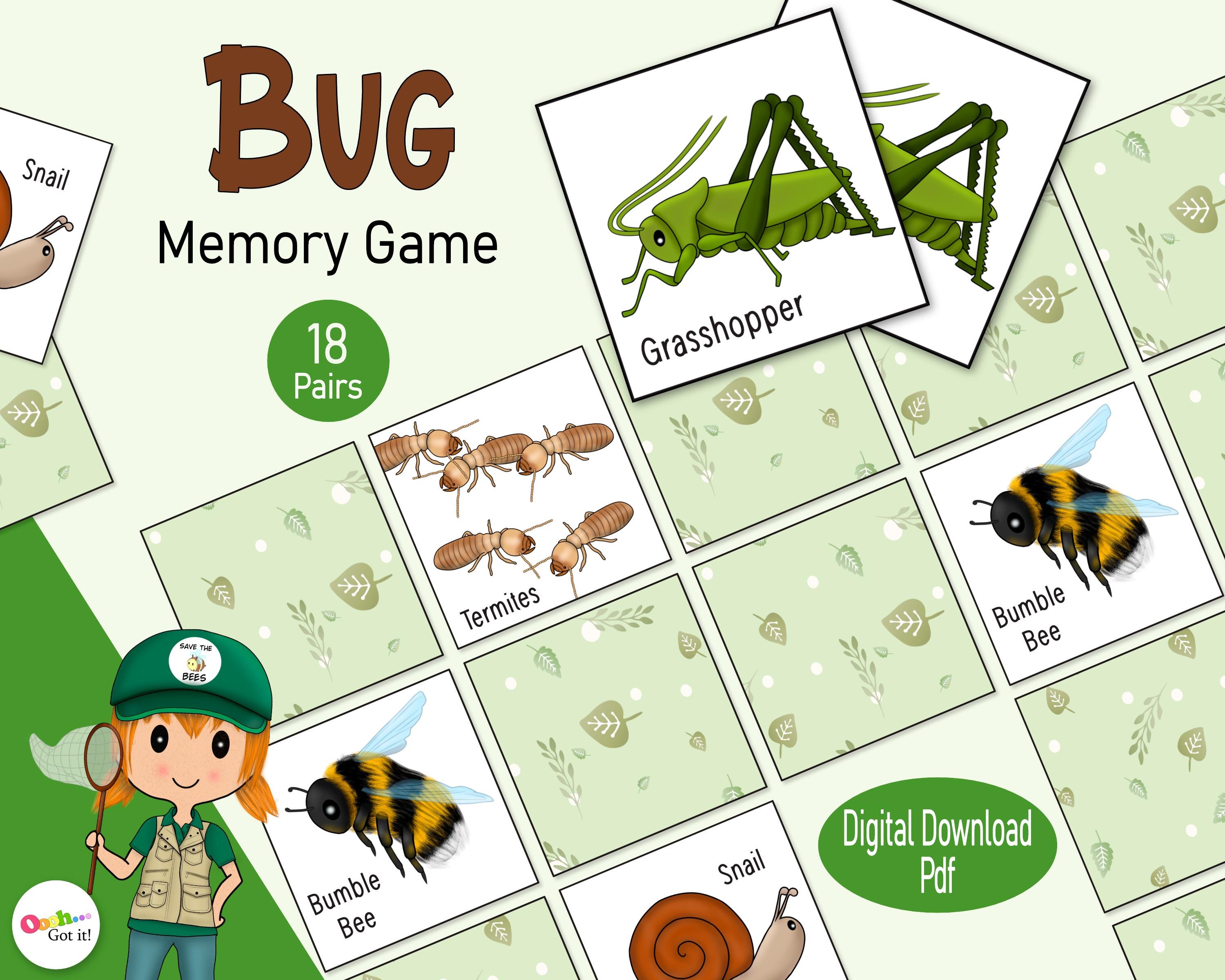 Bug Memory Cards, a Printable Creepy Crawler Picture Matching Game for ...