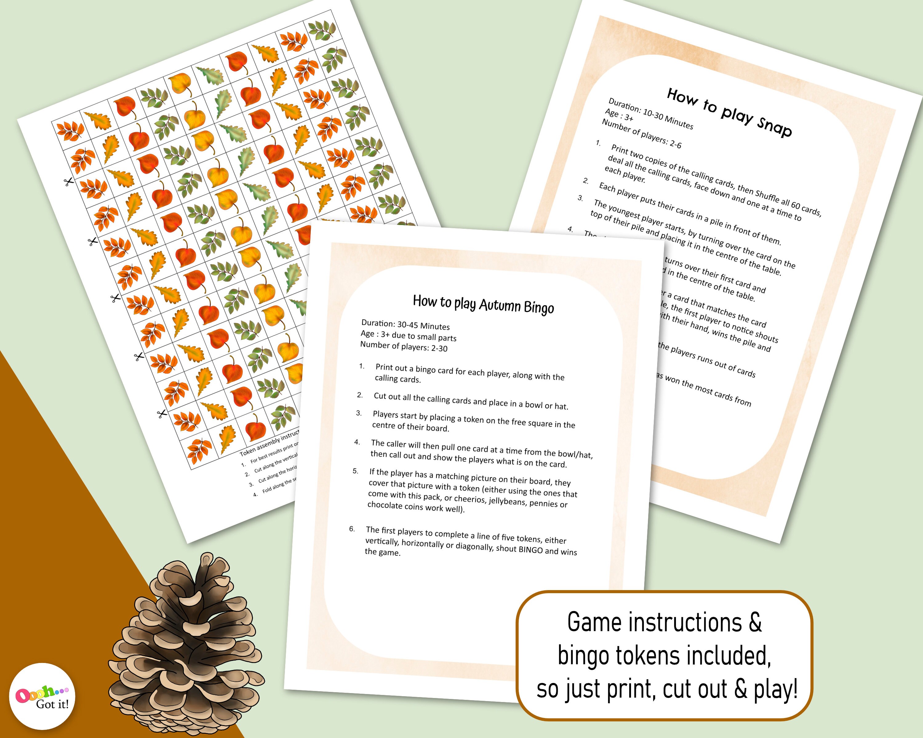 Autumn Bingo Cards a Fall Printable Kids Activity a - Etsy