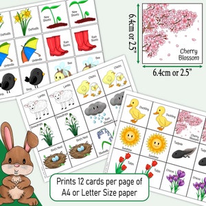 Springtime Memory Card Game, a Printable Spring Picture Matching Family ...