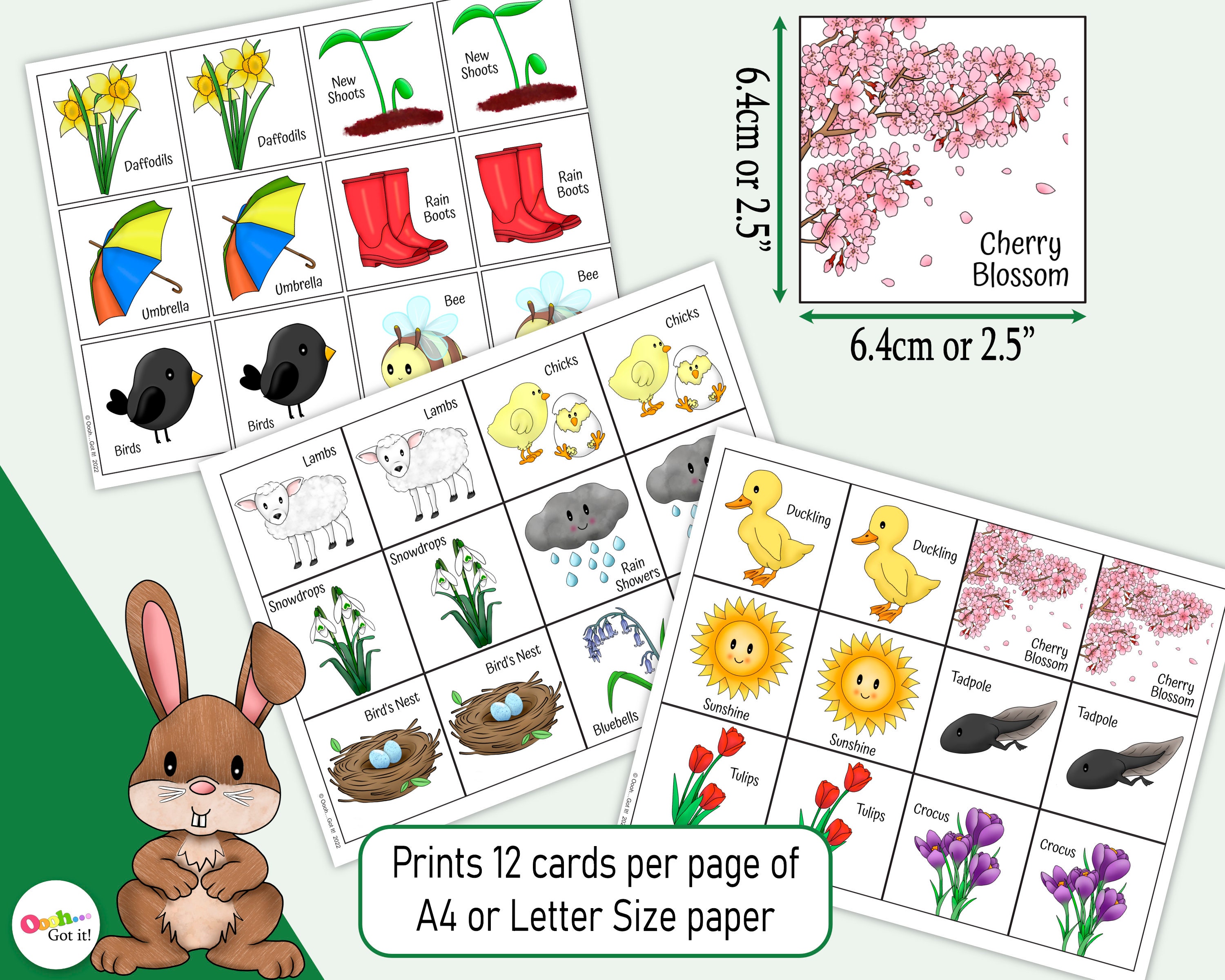 Springtime Memory Card Game, a Printable Spring Picture Matching Family ...