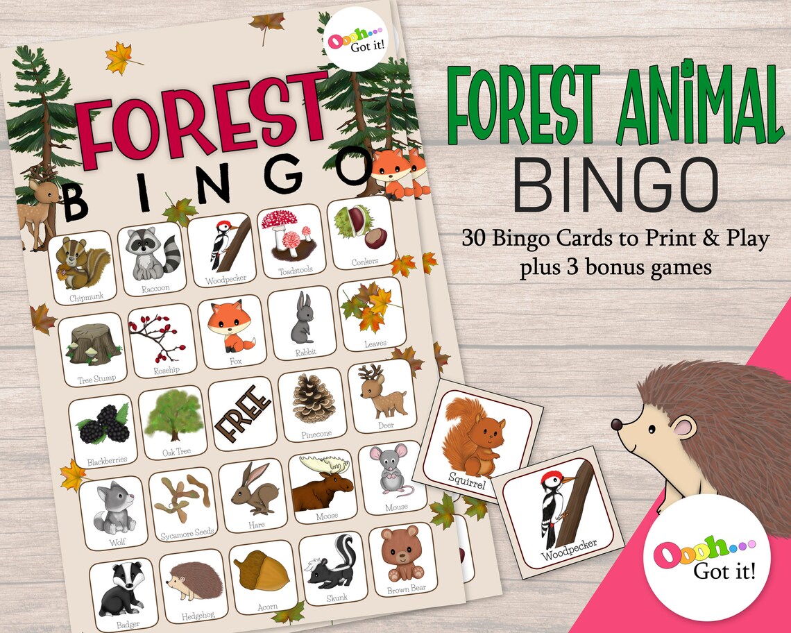 Woodland Animal Bingo Cards a Printable Autumn Forest Game | Etsy UK