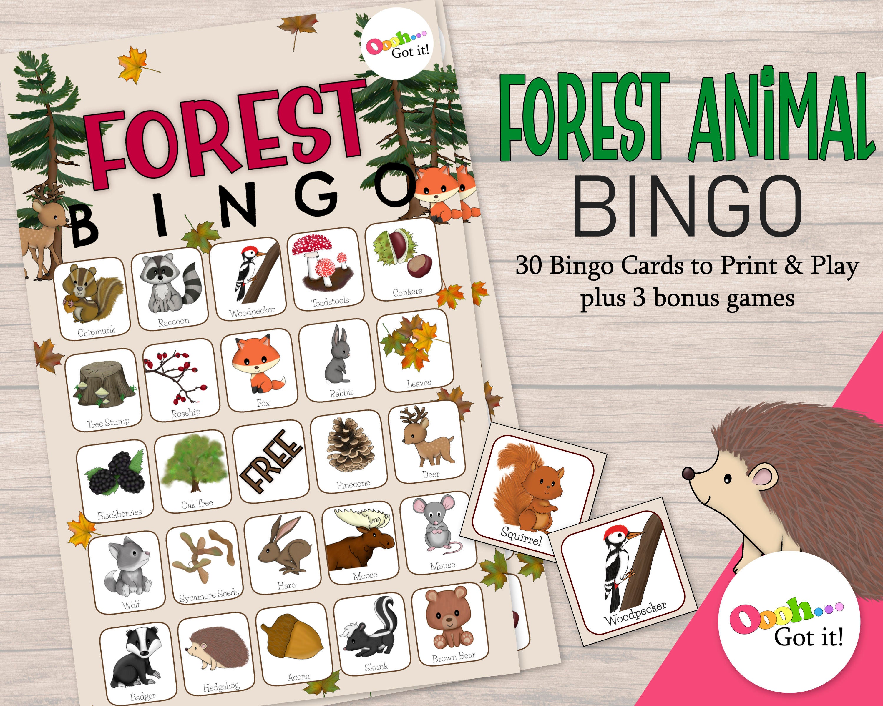 Woodland Animal Bingo Cards a Printable Autumn Forest Game | Etsy UK