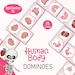 Human Body Parts Dominoes, a Printable Anatomy Game for a Fun Biology ...