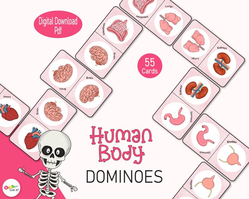 Human Body Parts Dominoes, a Printable Anatomy Game for a Fun Biology ...