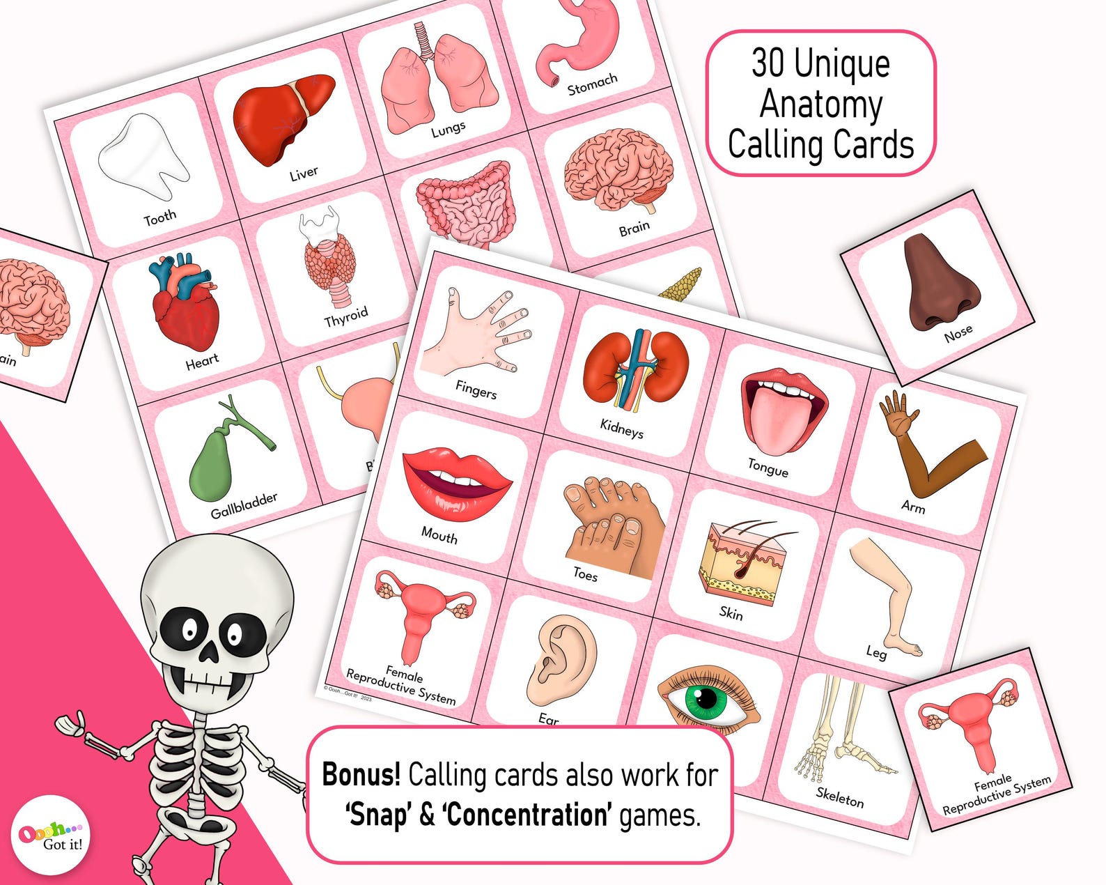 Human Body Parts Bingo, a Printable Anatomy Game for a Fun Biology ...