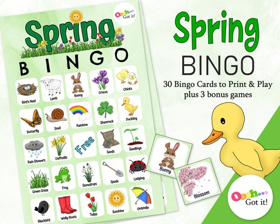 Springtime Bingo a Printable Spring Game for Kids Easter - Etsy Australia