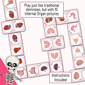 Human Body Parts Dominoes, a Printable Anatomy Game for a Fun Biology ...