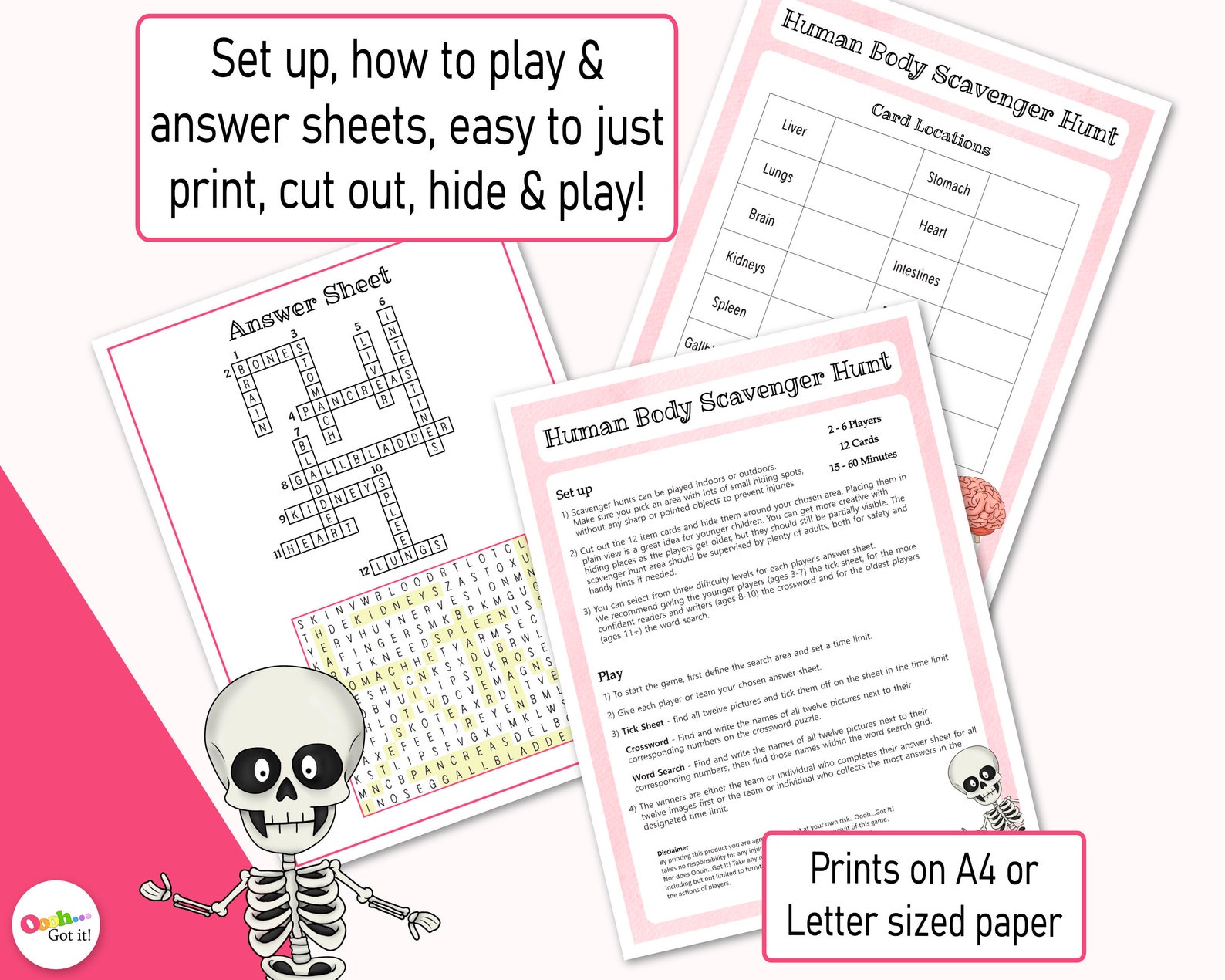 Human Body Picture Scavenger Hunt, a Printable Anatomy Family Game, for ...