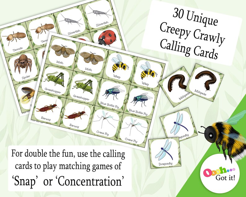 Bug Bingo a Printable Creepy Crawler Party Game a Insect - Etsy