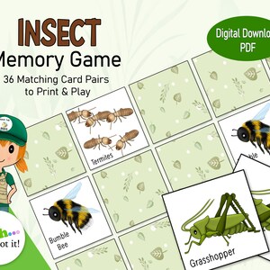 Bug Memory Cards a Printable Creepy Crawler Picture Matching - Etsy