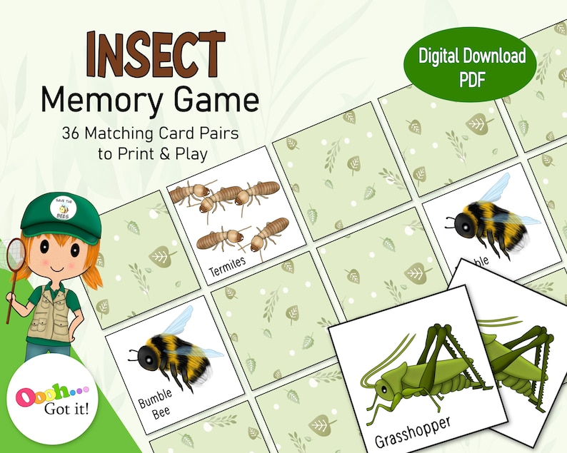Bug Memory Cards a Printable Creepy Crawler Picture Matching - Etsy