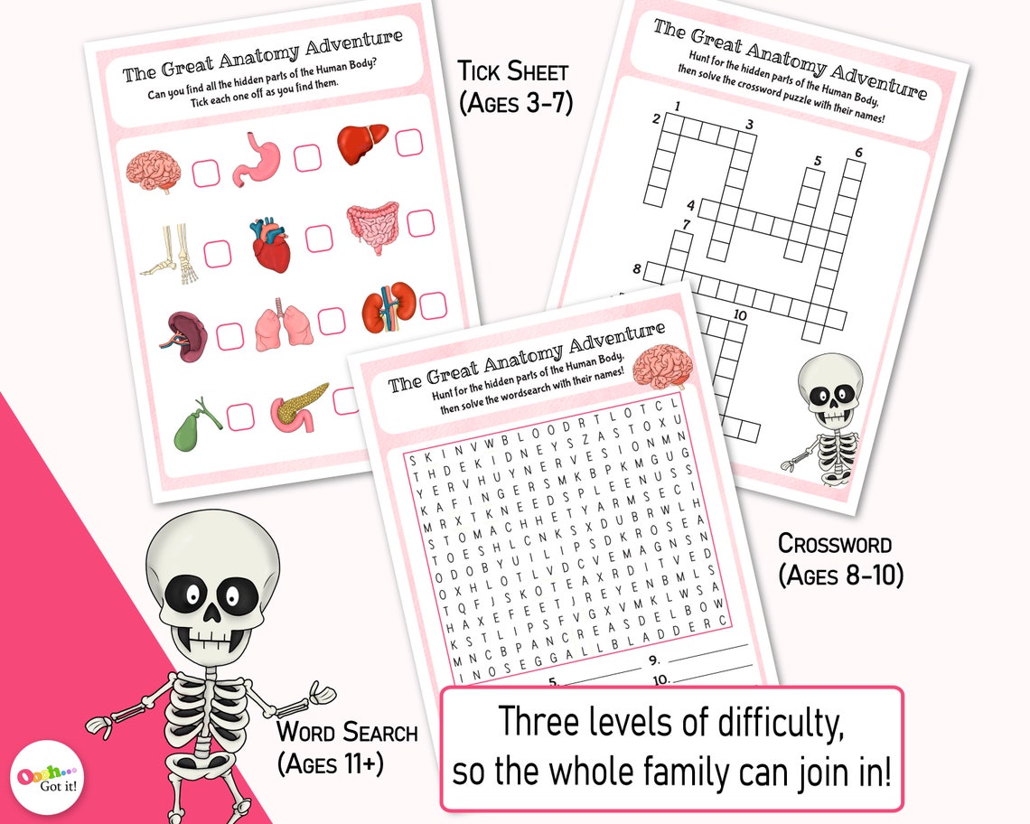Human Body Picture Scavenger Hunt, a Printable Anatomy Family Game, for ...