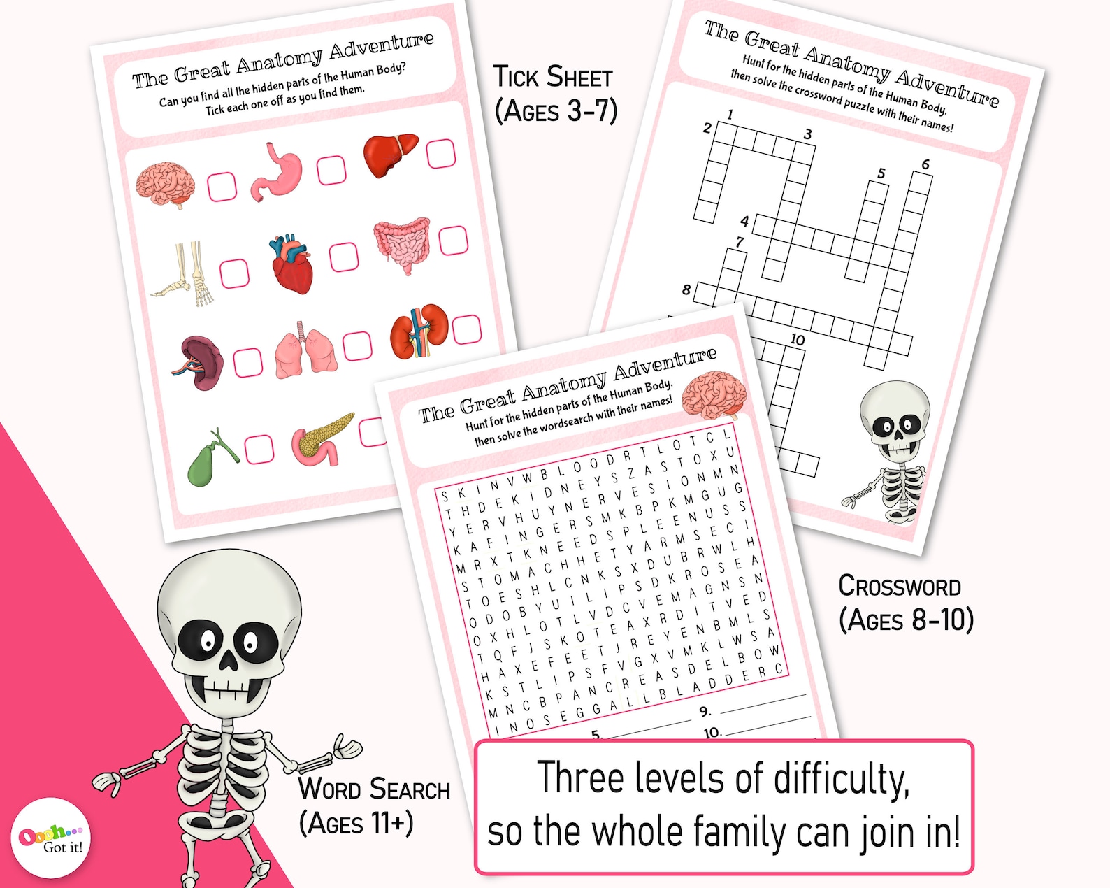 Human Body Picture Scavenger Hunt, a Printable Anatomy Family Game, for ...
