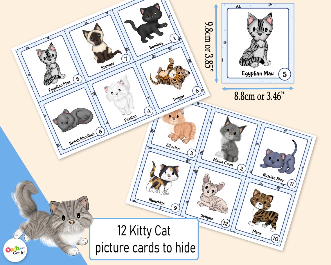 Kitty Cat Picture Scavenger Hunt, a Printable Hide & Seek Game for Kids ...