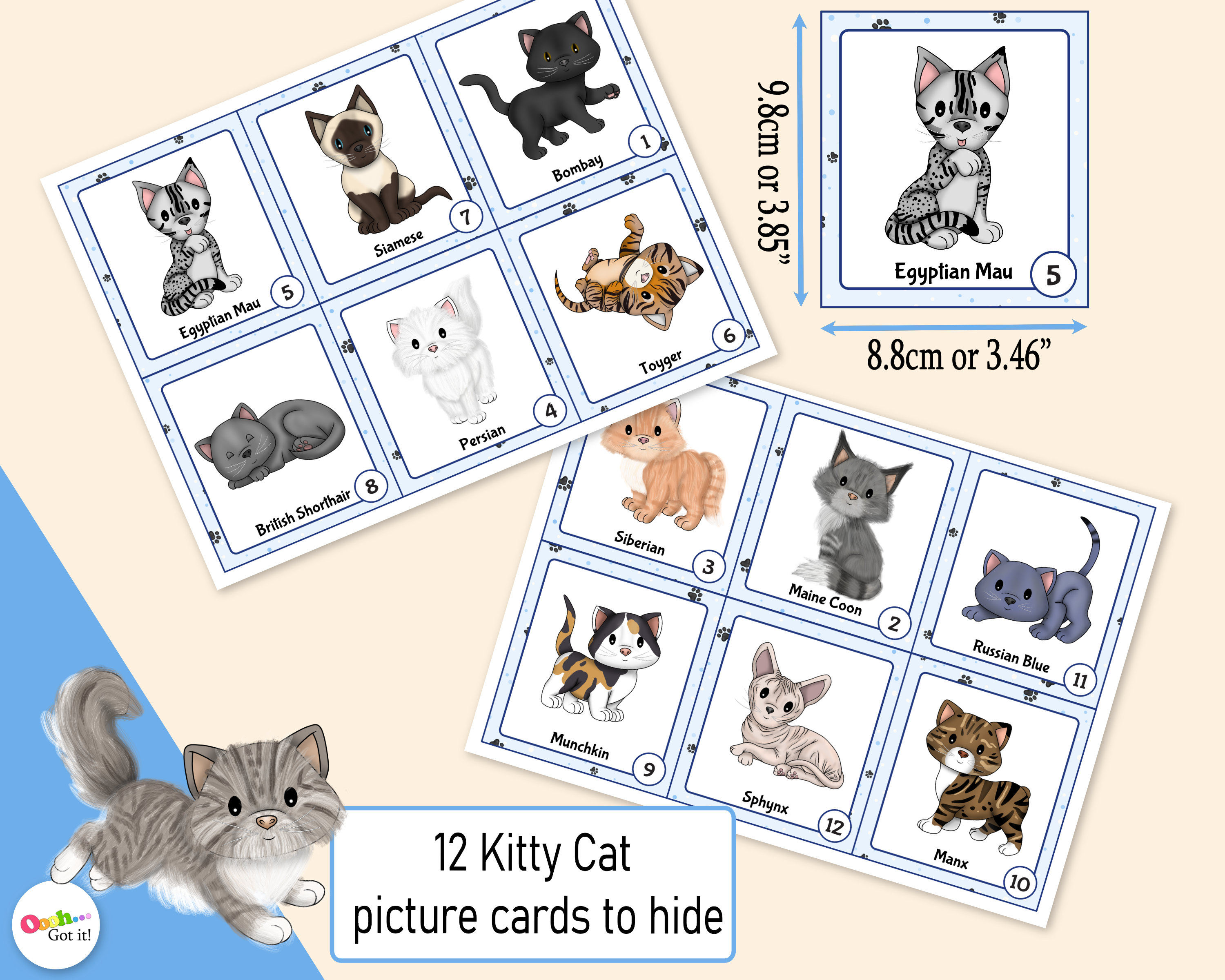 Kitty Cat Picture Scavenger Hunt, a Printable Hide & Seek Game for Kids ...