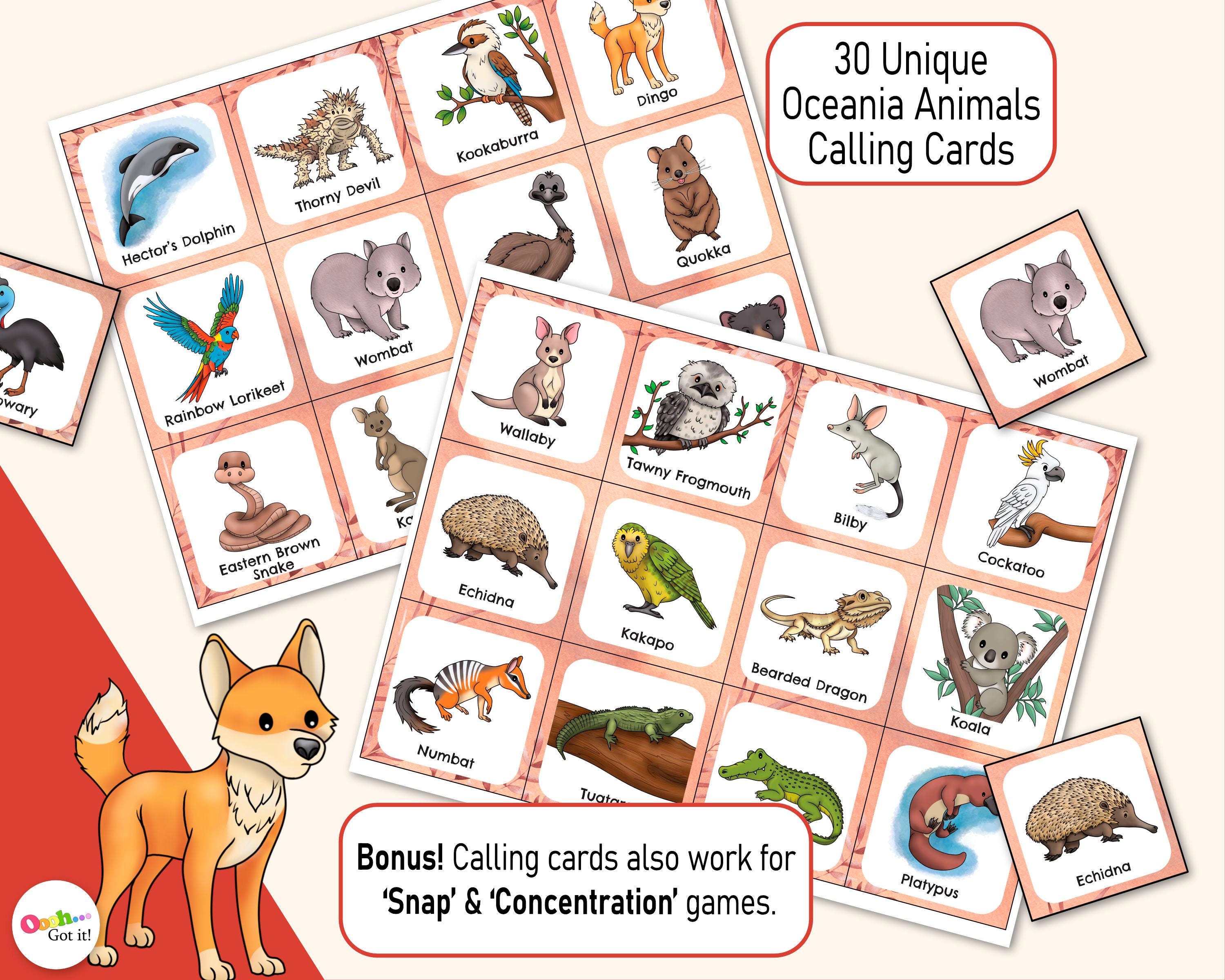 Australian Animals Bingo - a Printable Game With Aussie & New Zealand ...