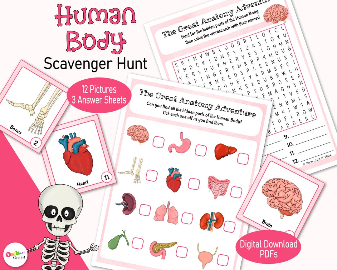 Human Body Picture Scavenger Hunt, a Printable Anatomy Family Game, for ...