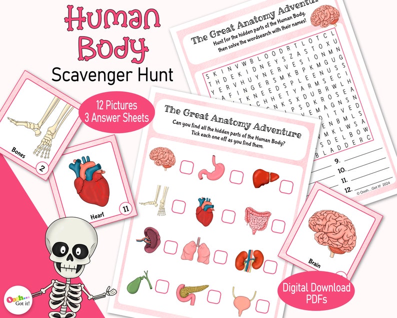 Human Body Picture Scavenger Hunt, a Printable Anatomy Family Game, for ...