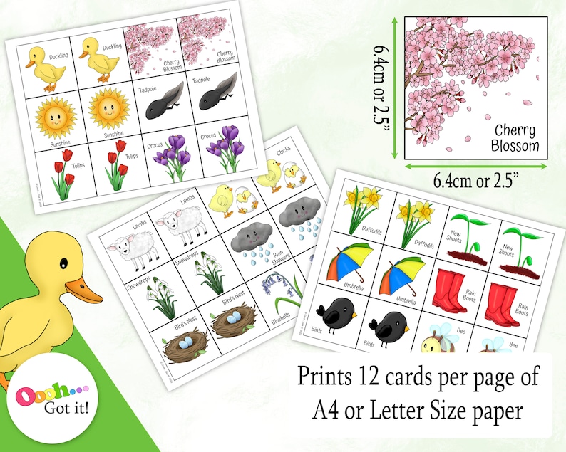 Springtime Memory Card Game a Printable Spring Picture - Etsy