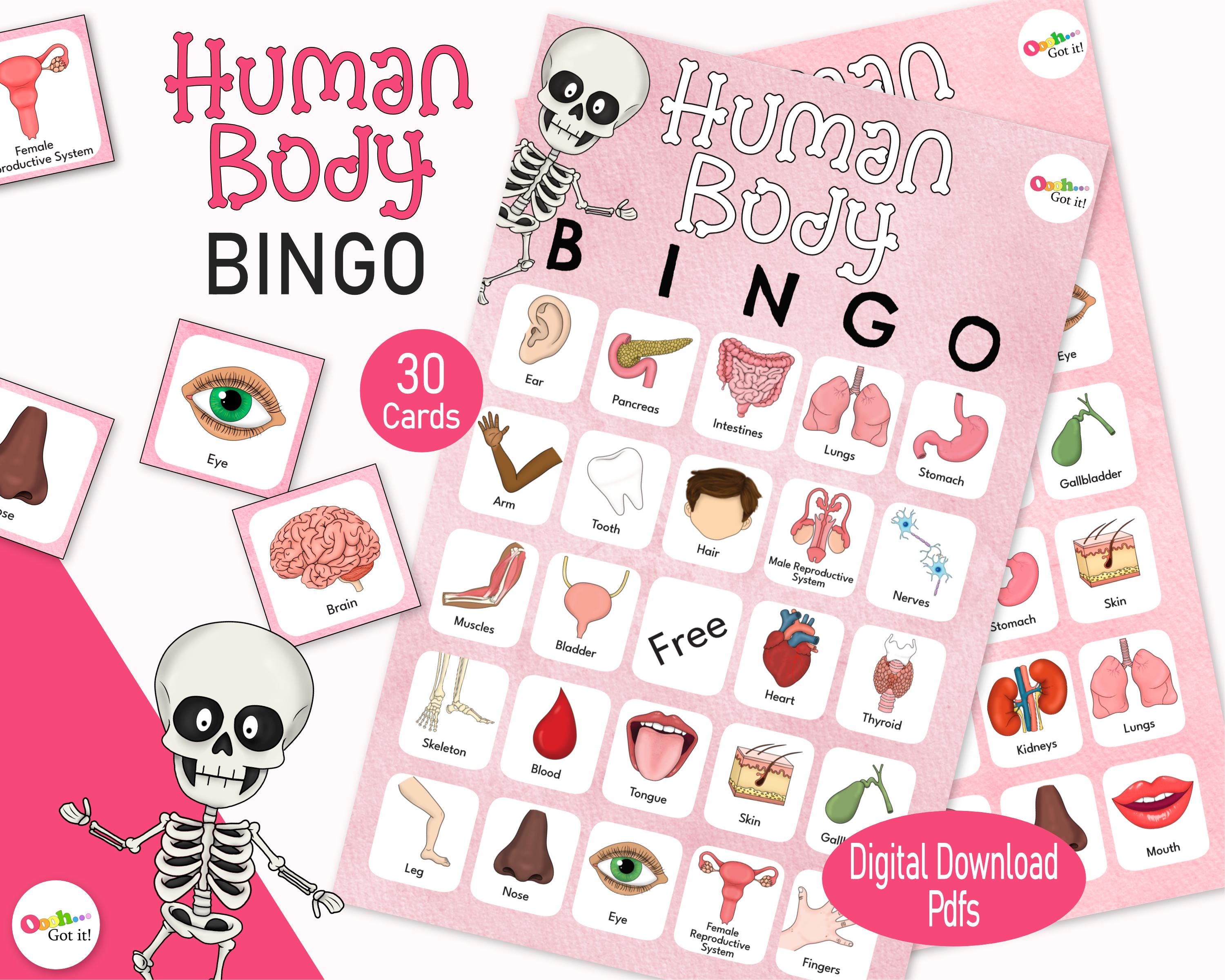 Human Body Parts Bingo, a Printable Anatomy Game for a Fun Biology ...