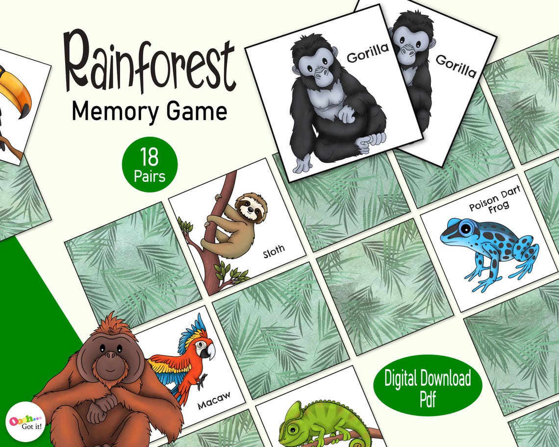 Rainforest Animal Memory Cards – A Fun Printable Jungle Wildlife ...