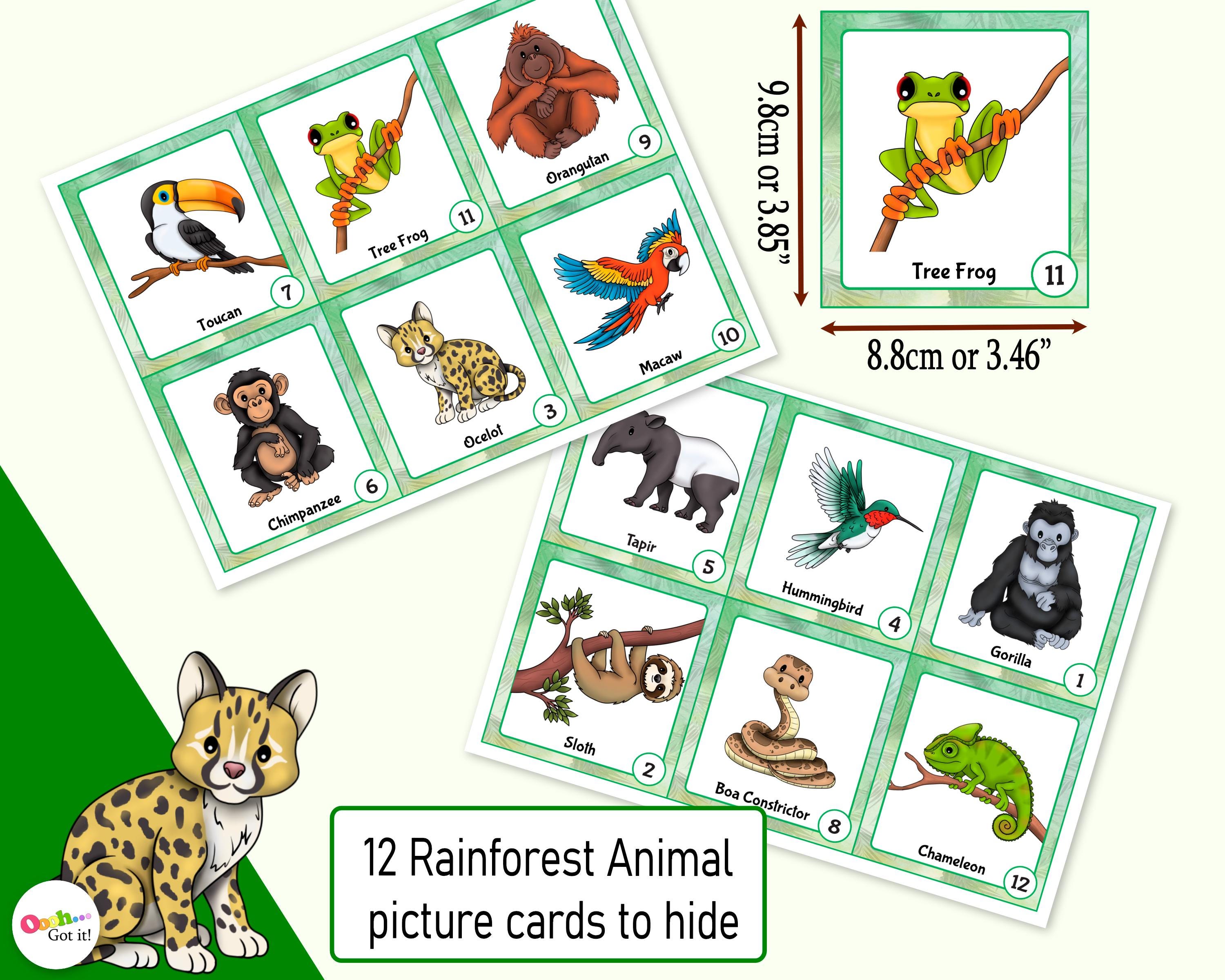 Rainforest Animal Scavenger Hunt – A Printable Jungle Wildlife Picture ...