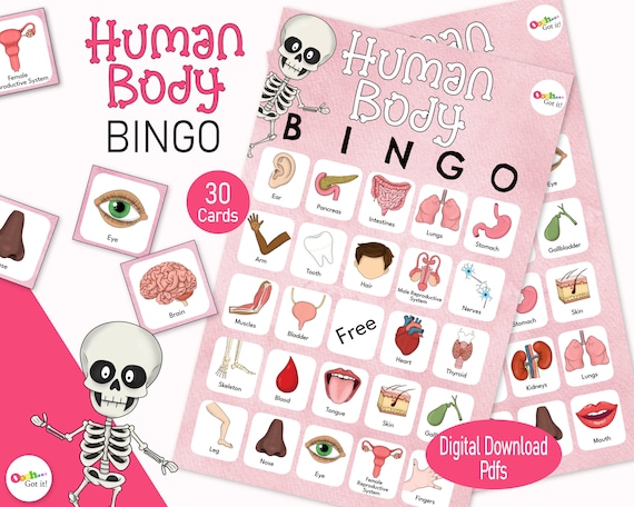 Bingo de partes del cuerpo humano, un juego de anatomía imprimible para ...
