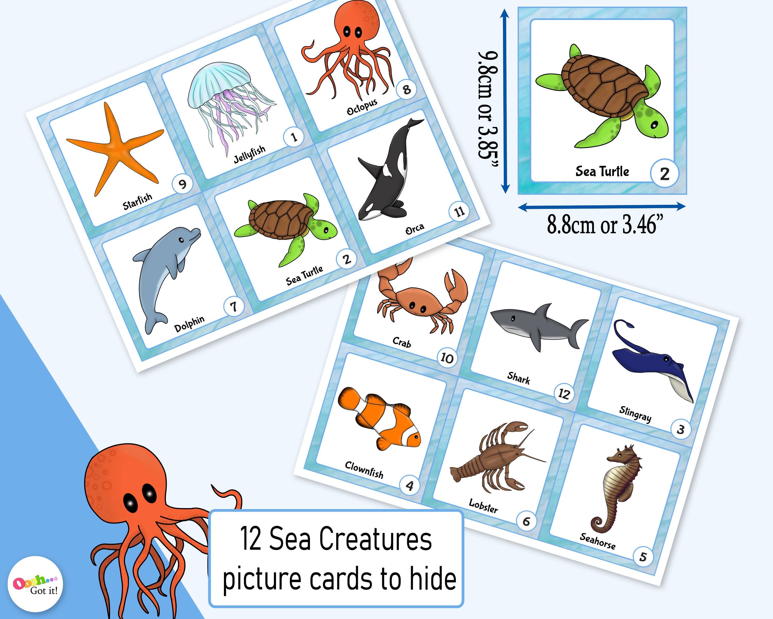 Under the Sea Picture Scavenger Hunt, a Printable Education & Fun Ocean ...
