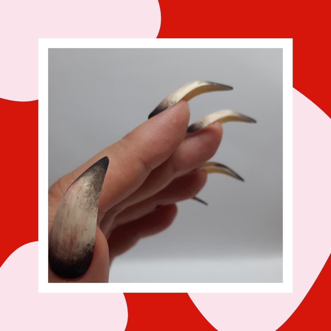 Hunter 2.0 - SPECIAL EFFECT - Curved Realistic Werewolf/animal Claw ...