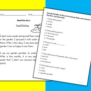 Reading Comprehension Passage for First Grade and Second Grade - Etsy