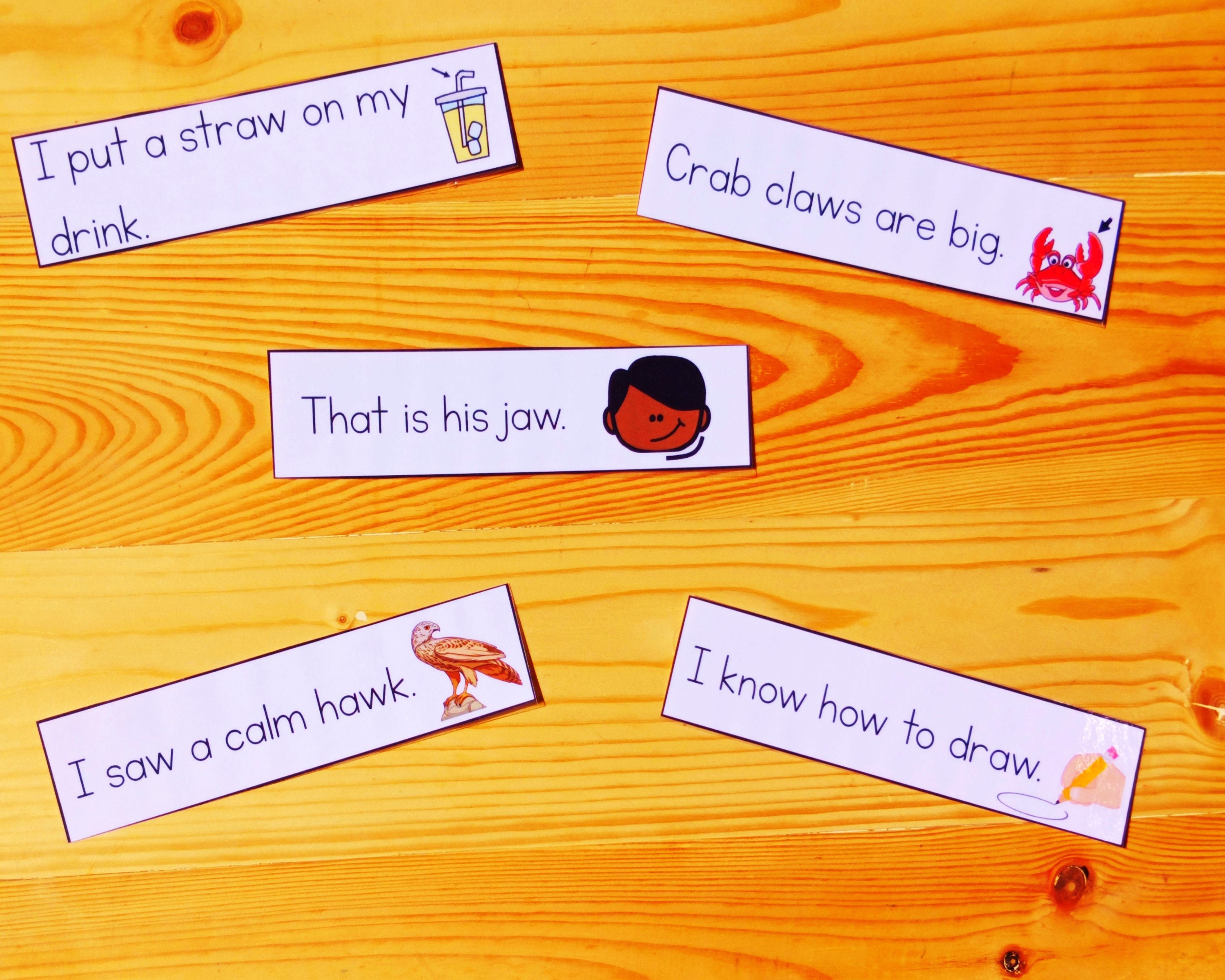 Diphthong Sentence Flashcards - Etsy