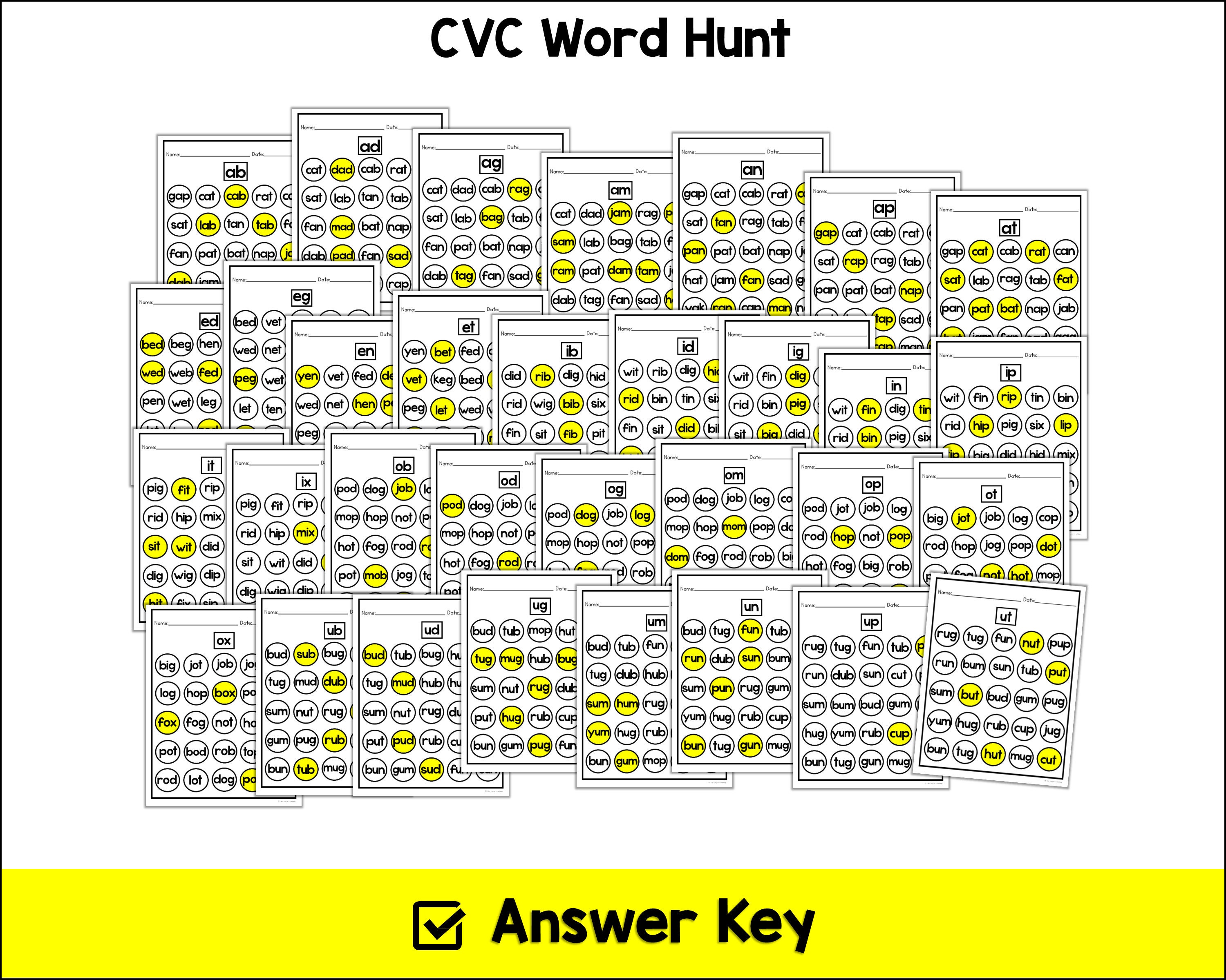 CVC Word Hunt - Etsy
