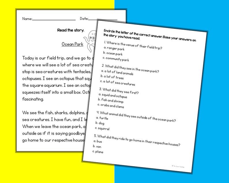Reading Comprehension Passage for First Grade and Second Grade - Etsy