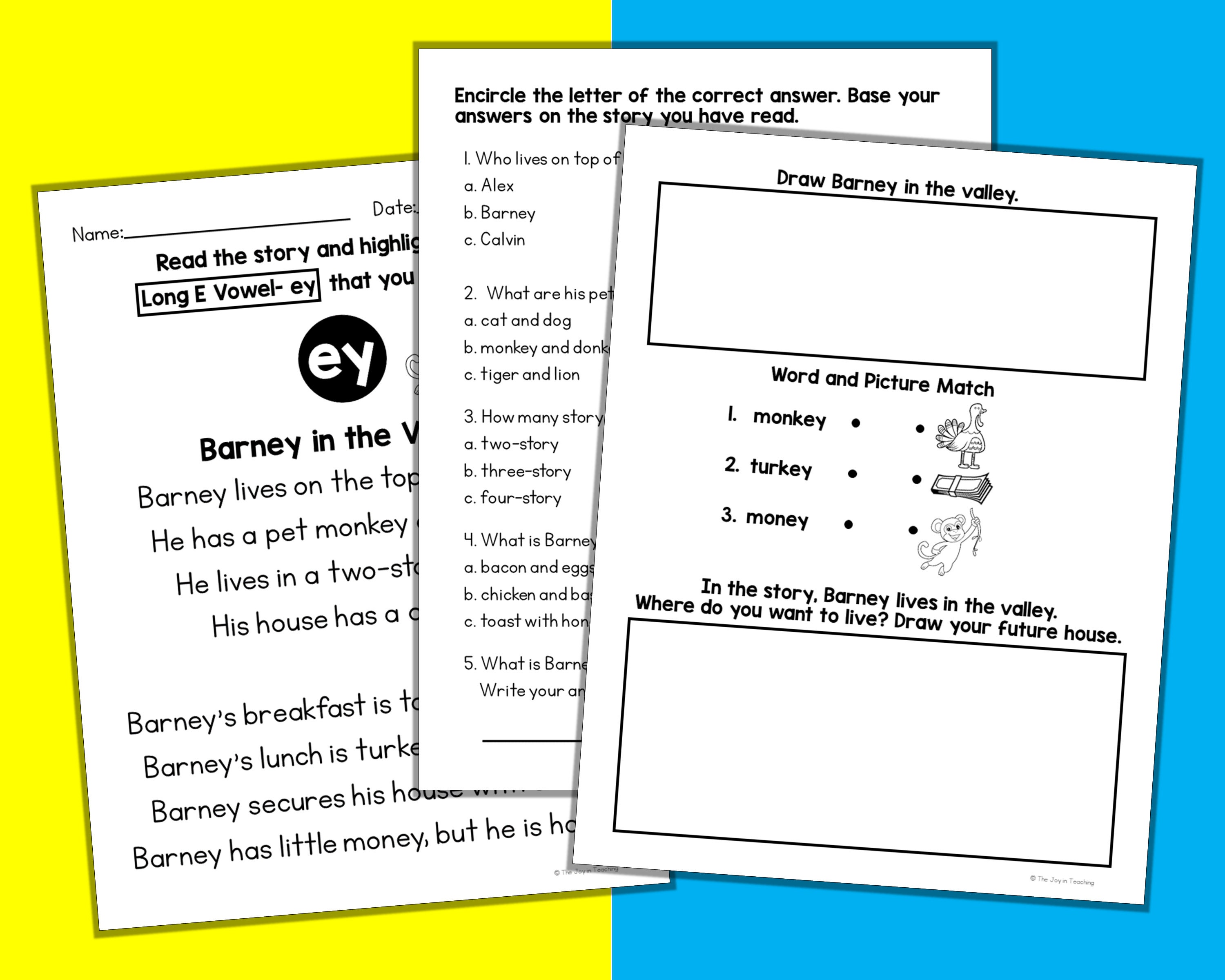 Long Vowel E Reading Comprehension Passage - Etsy