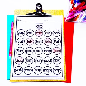 CVC Word Hunt - Etsy